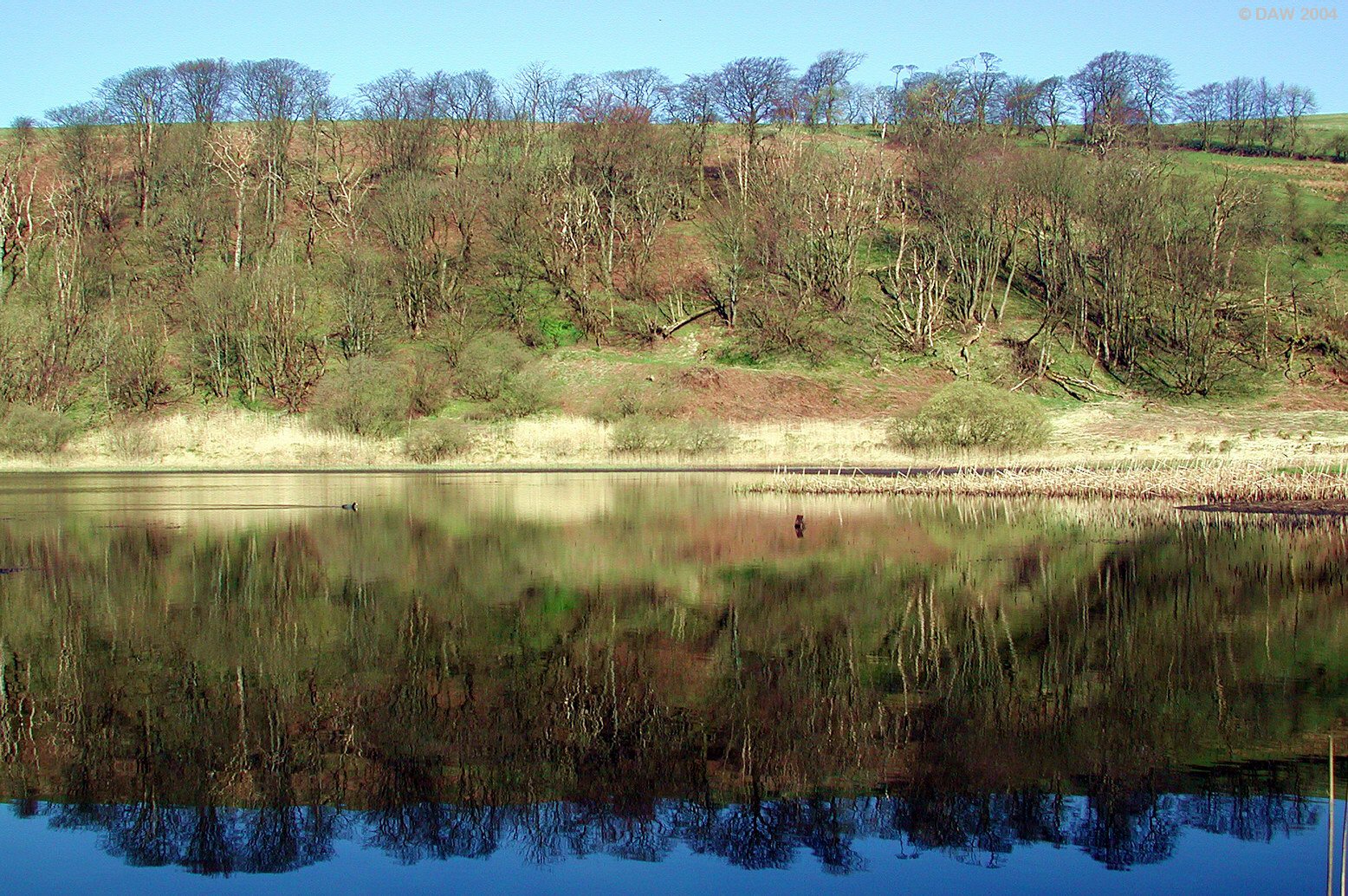 Countryside around Neilston - Loch Libo - The Neilston WebCam Photo Gallery
