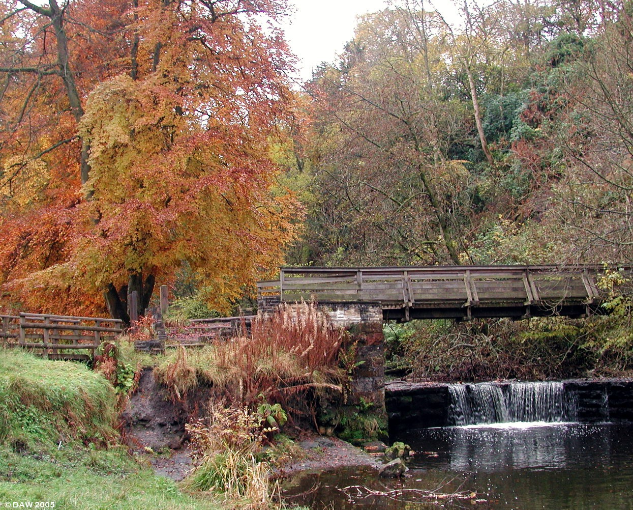 Views around Lanarkshire - River Calder, Calderglen Country Park - The ...