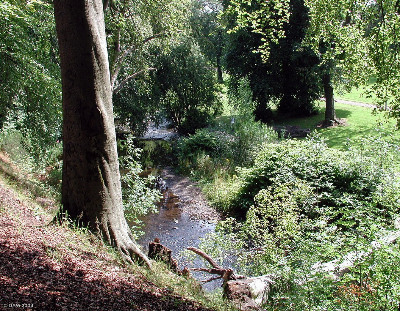 Barrhead - The Levern Burn, Barrhead - The Neilston WebCam Photo Gallery