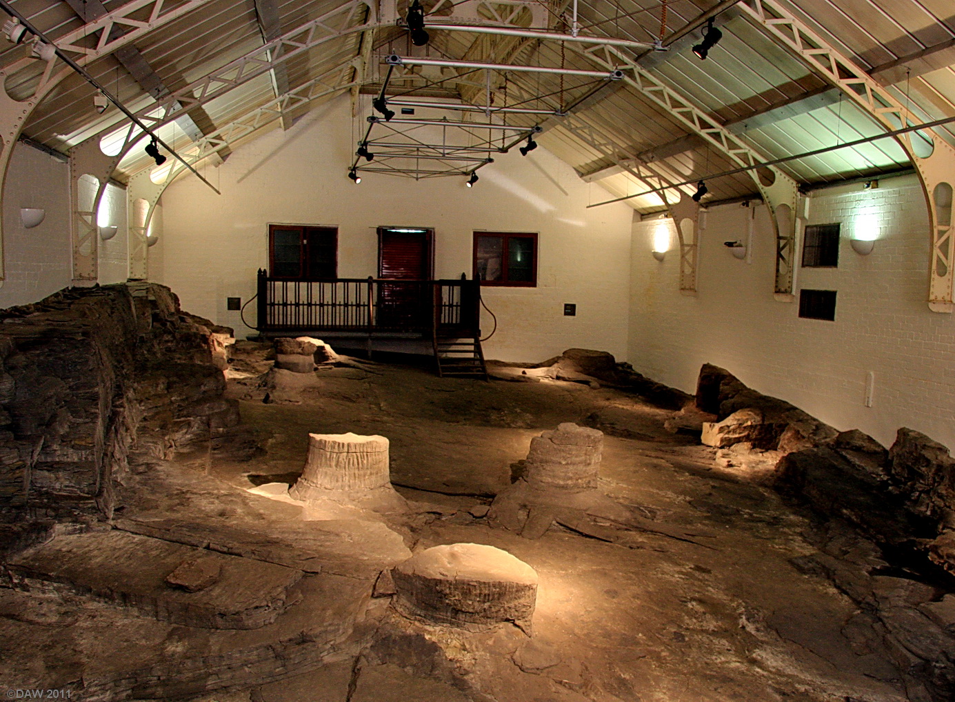 Glasgow Parks - The Fossil Grove, Victoria Park - The Neilston WebCam ...