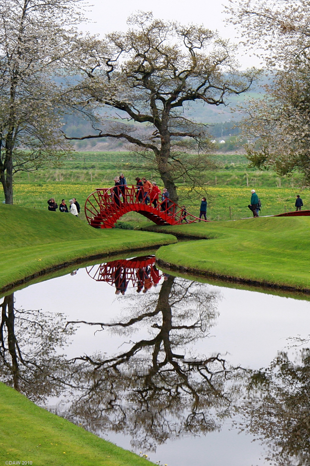 Dumfries & Galloway countryside - Crooked tree, Portrack House - The ...